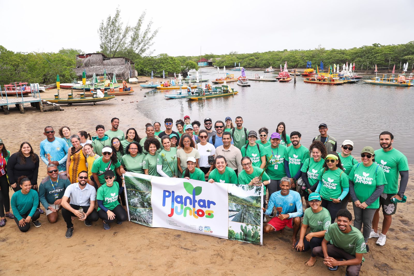 GOVERNO DE PERNAMBUCO PLANTA MAIS DE 600 MUDAS EM ÁREAS DE MANGUEZAIS ...